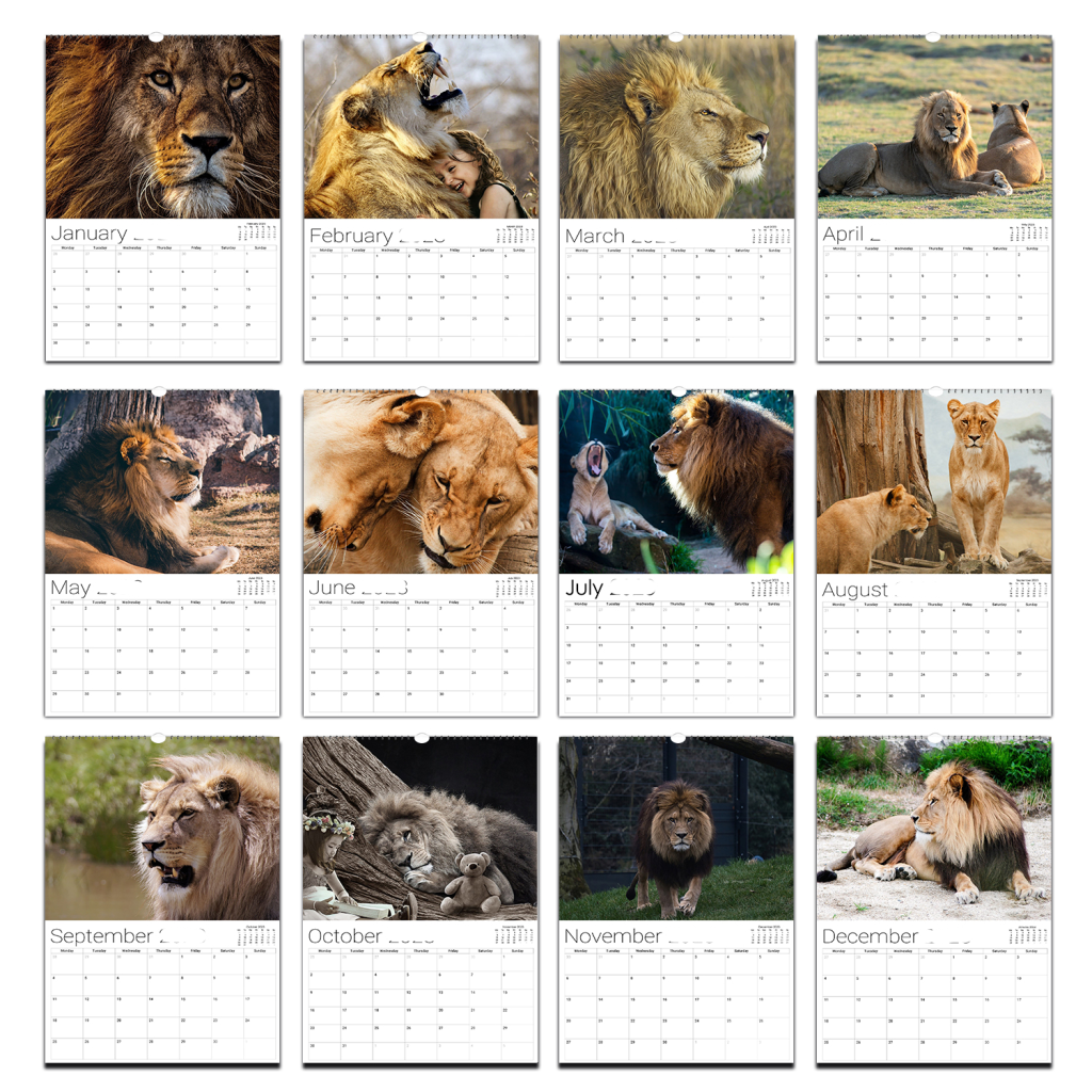 2024 Lion Calendar – personaprint.co.uk