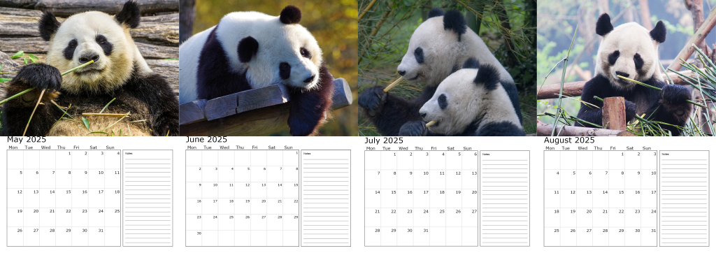 2025 Panda Calendar – personaprint.co.uk