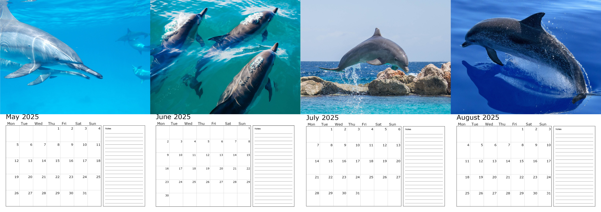 2025 Dolphin Calendar – personaprint.co.uk