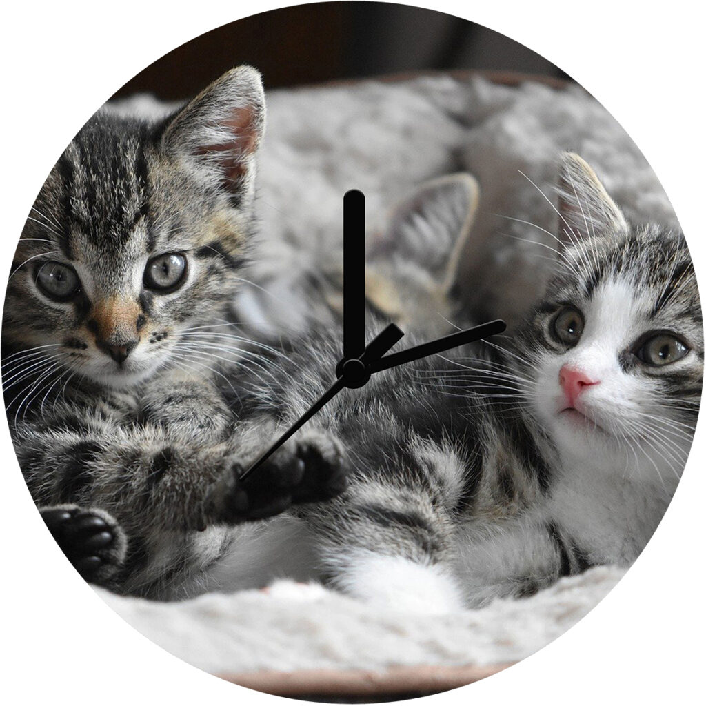 Cat Personalised Wall Clock no.6 – personaprint.co.uk