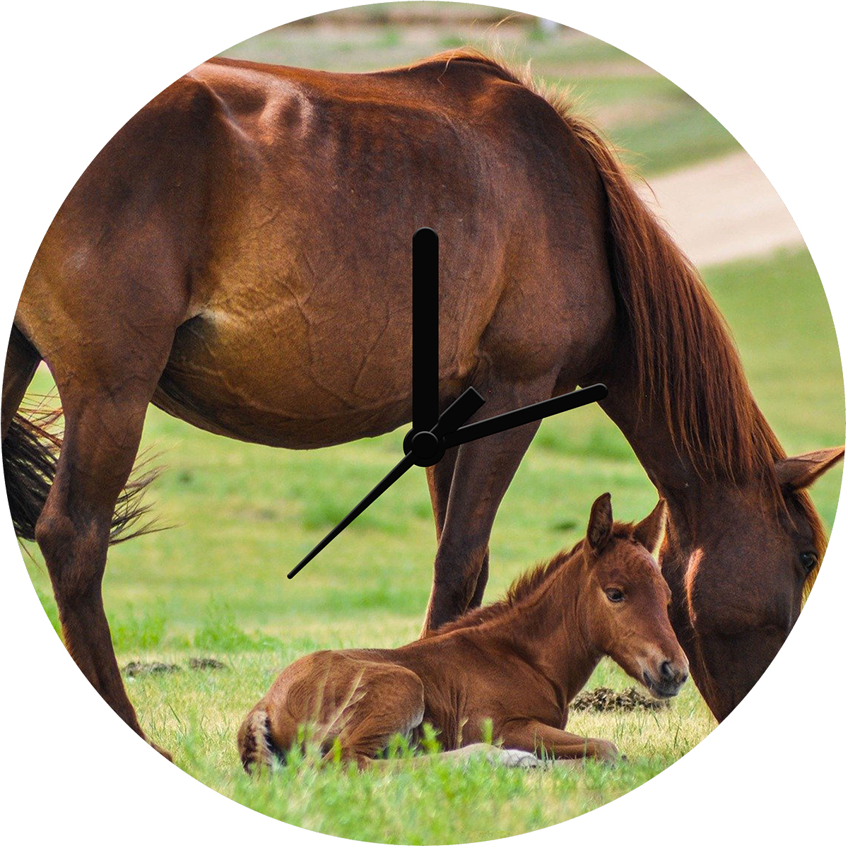 Equestrian Clocks – Personaprint