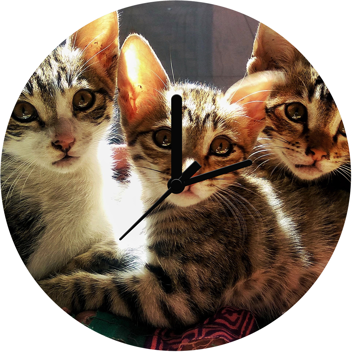 Cute Kitten Clocks – personaprint.co.uk