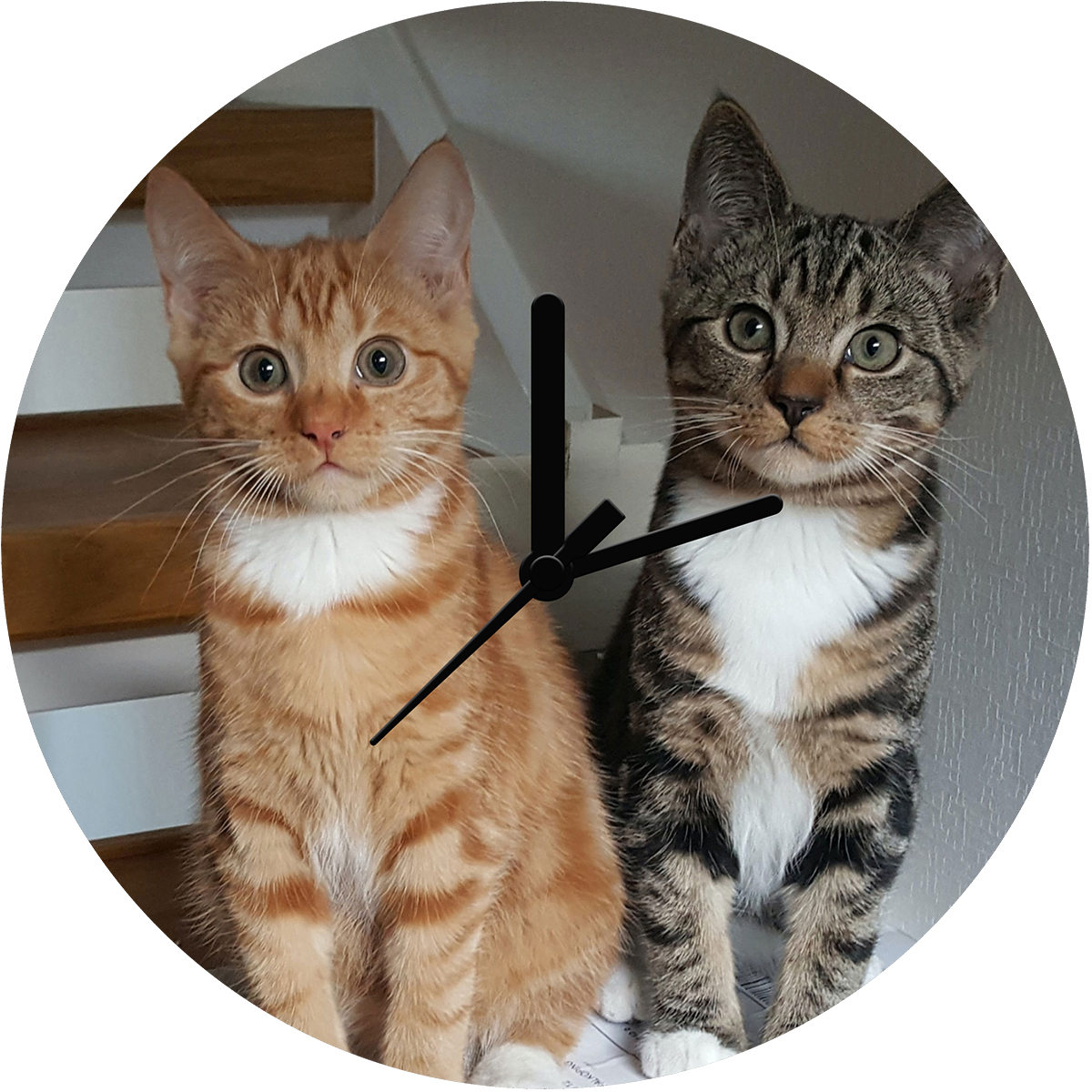 Cute Kitten Clocks – Personaprint