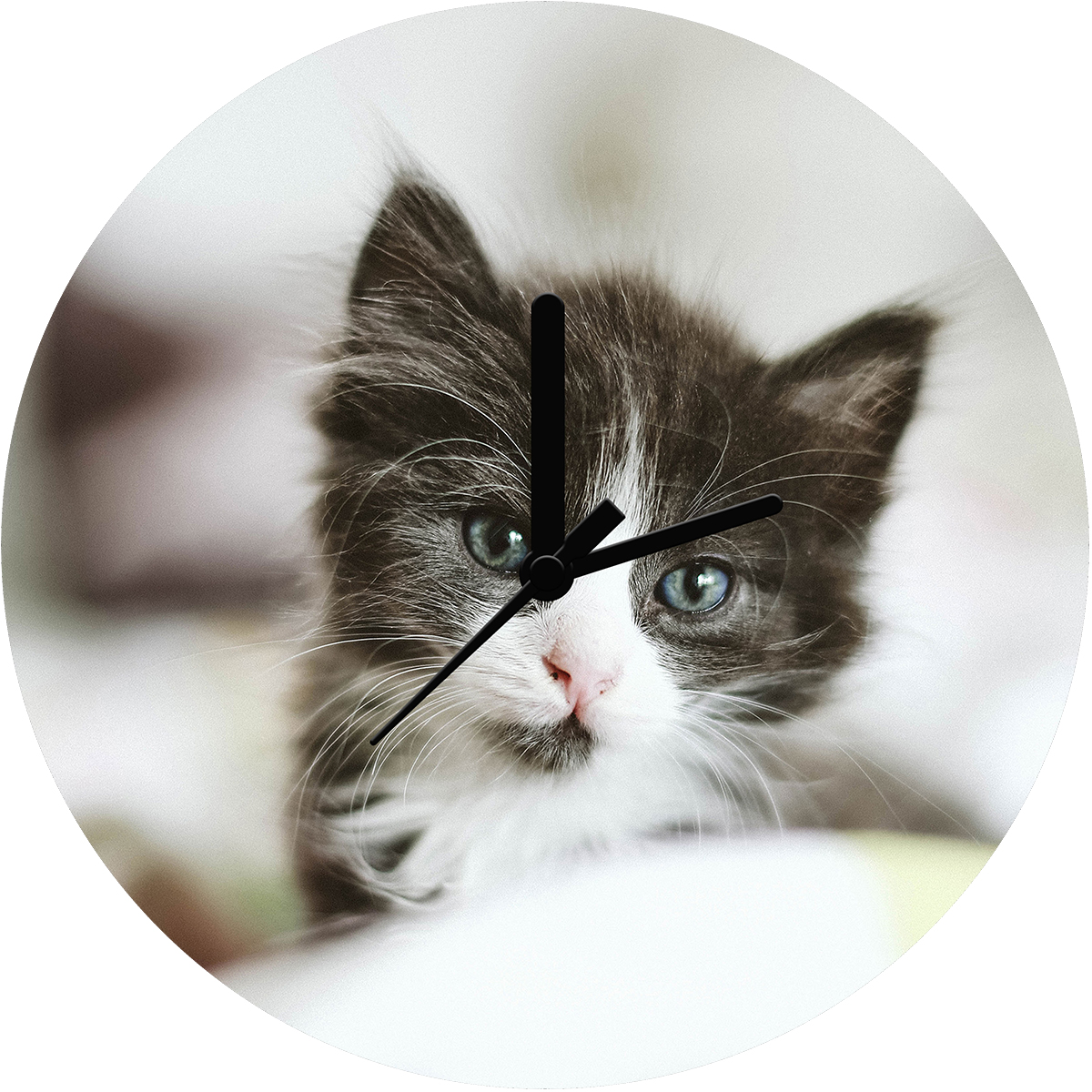 Cute Kitten Clocks – Personaprint