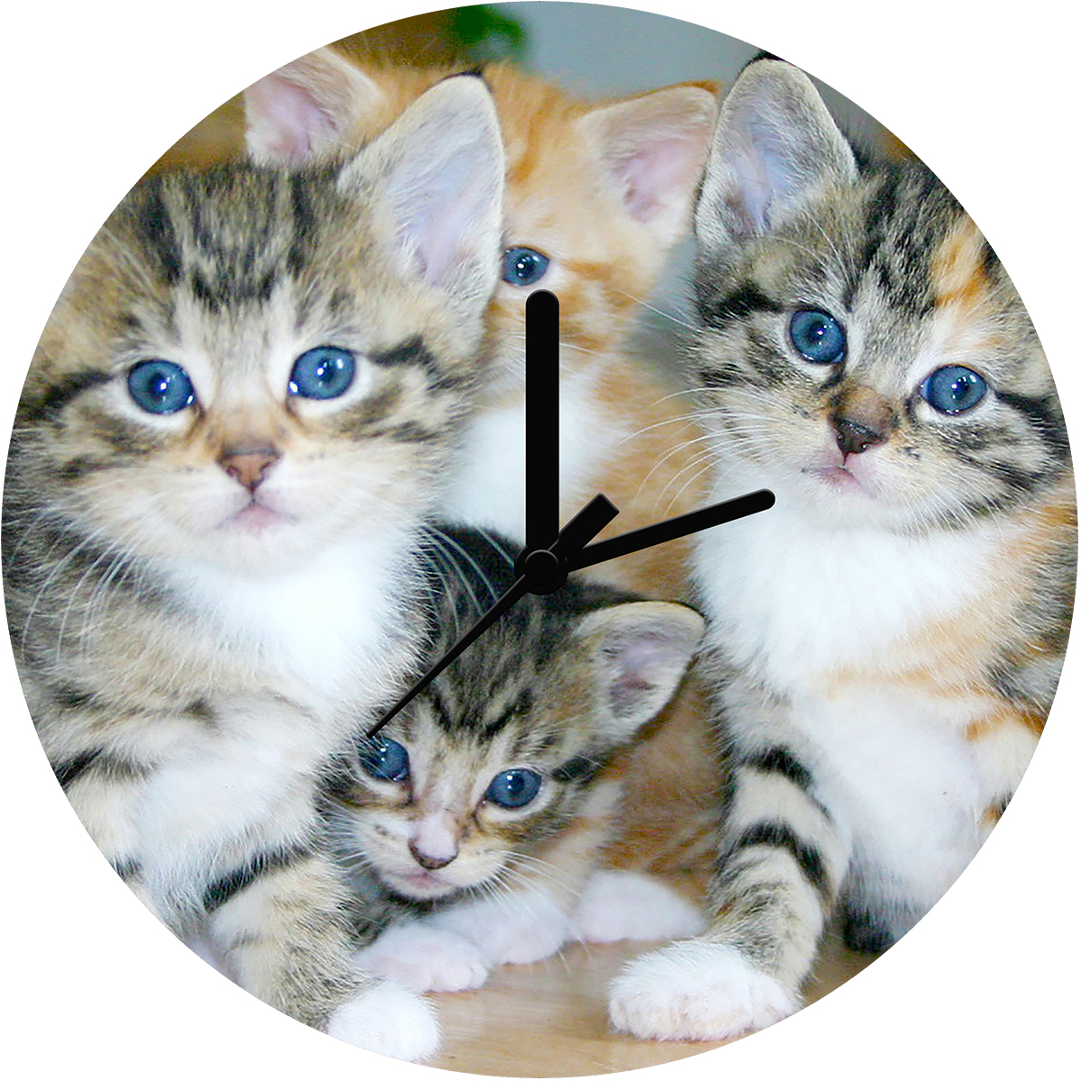 Cute Kitten Clocks – Personaprint