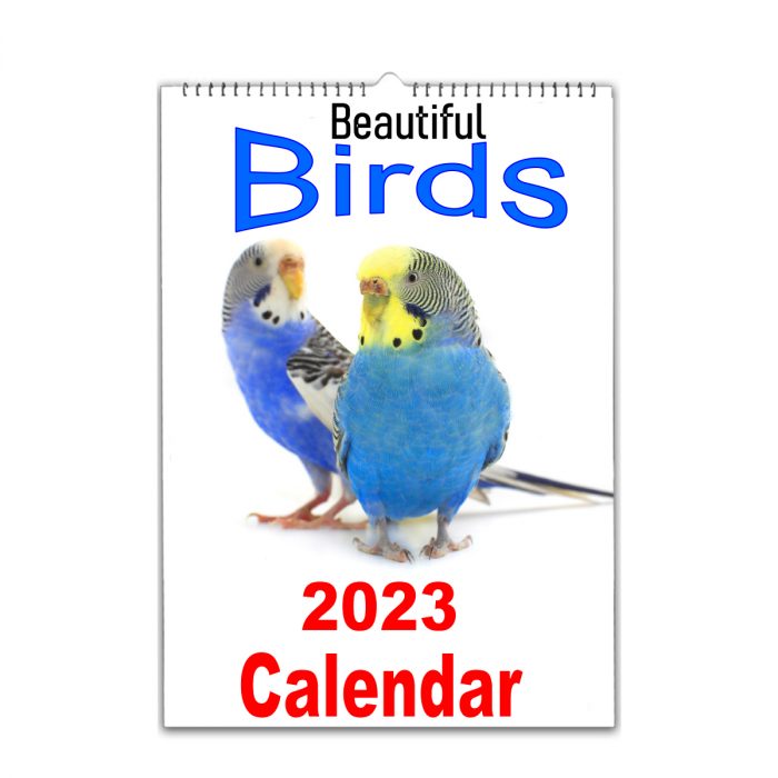 Personalised Calendars – Personaprint